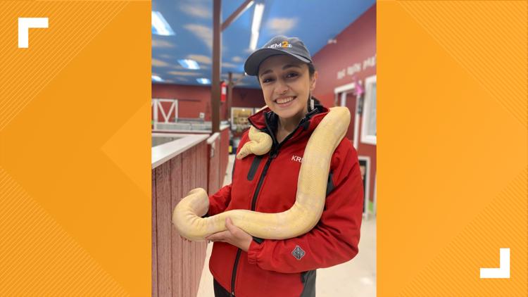 Nicole Hernandez named new Up with KREM co-anchor | krem.com