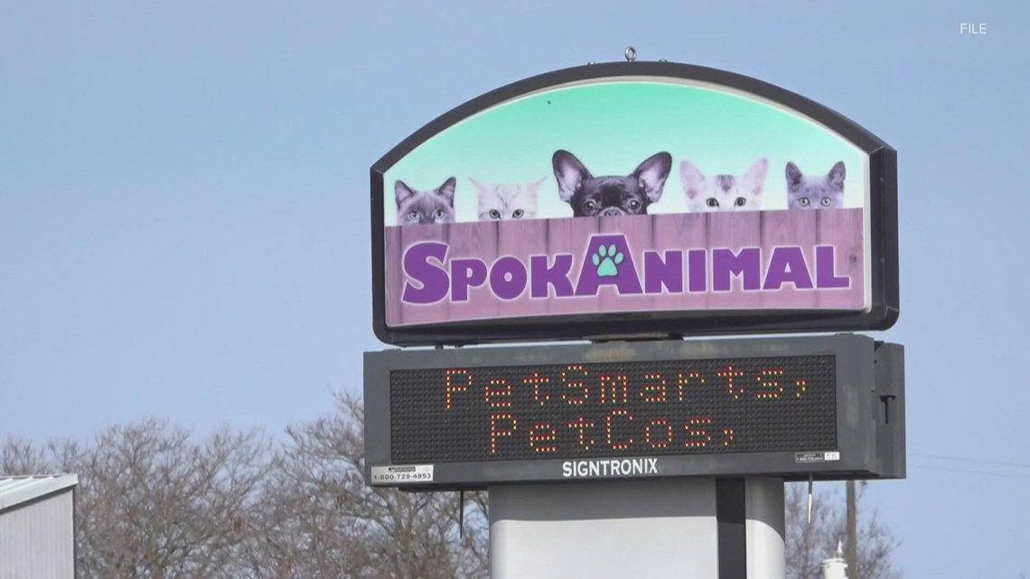 SpokAnimal opening for dog adoptions starting Monday | krem.com