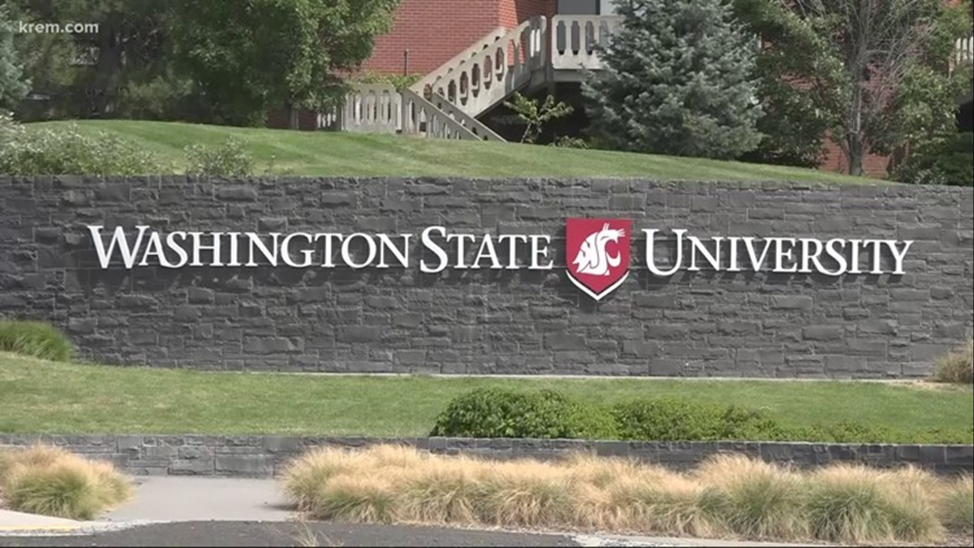 New WSU agriculture building breaks ground | krem.com