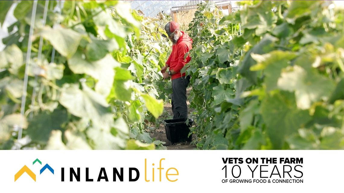 Inland Life: Vets on the Farm | krem.com