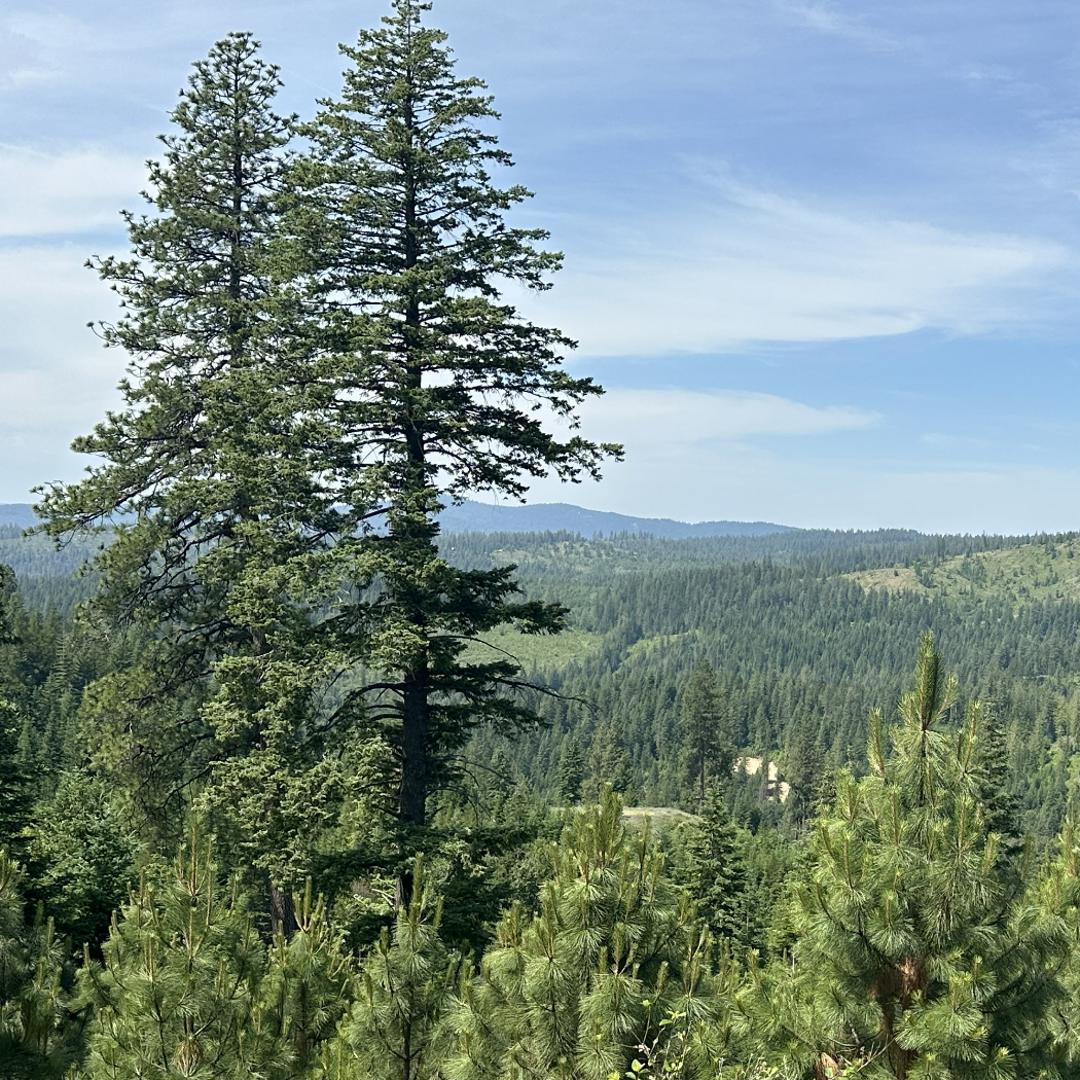 'Spirit of Mount Spokane' project begins with protecting 22,000 acres ...
