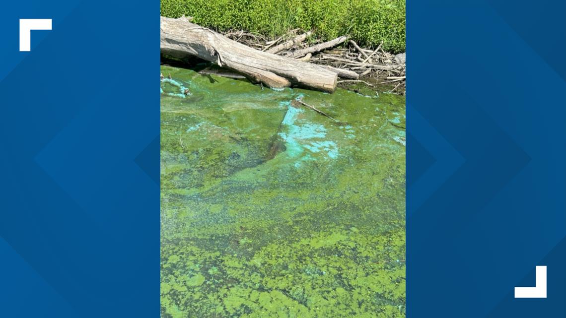 Health advisory issued for Snake River amid algal bloom | krem.com