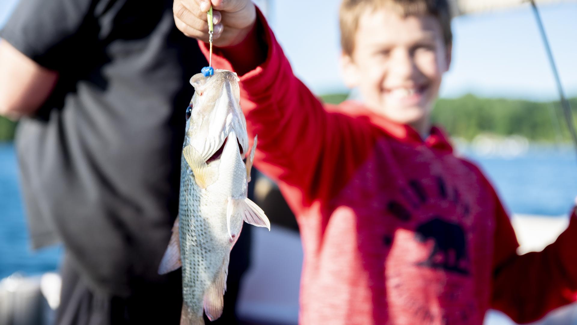 Idaho Fish and Game Commission offers free fishing licenses for foster ...