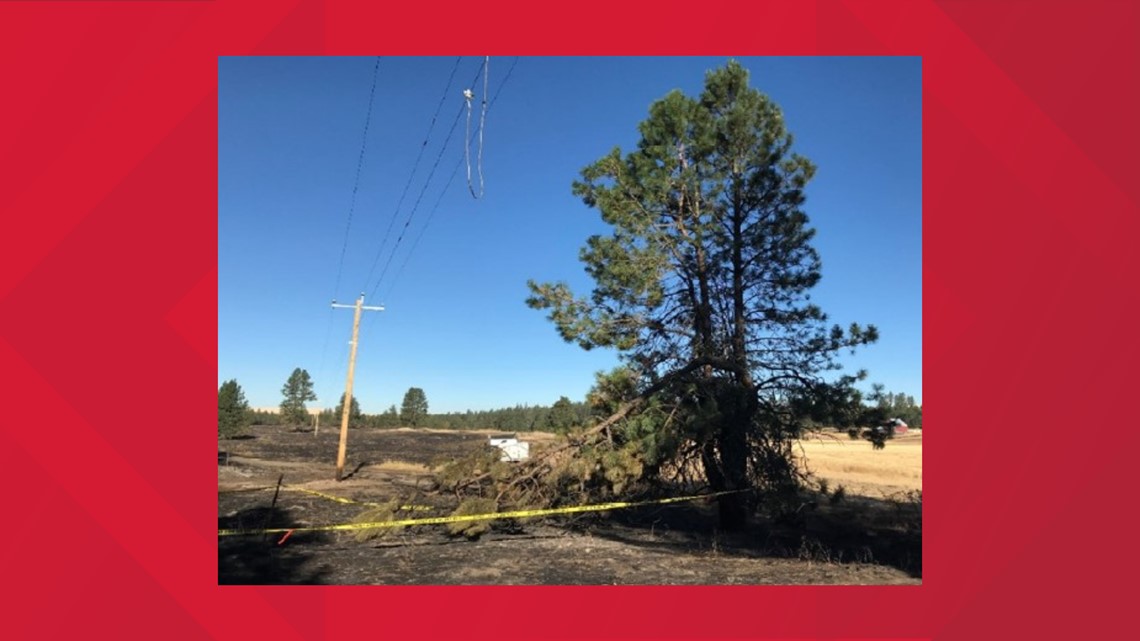Babb Fire sparked by tree branch that fell on Avista powerline | krem.com
