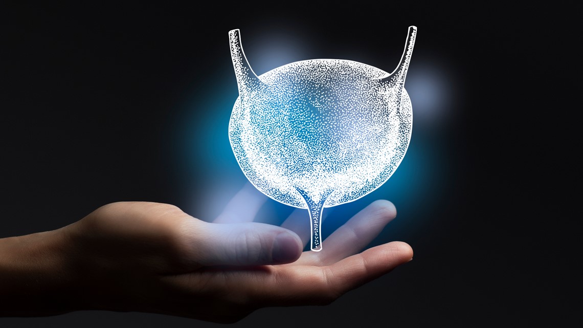 Gynecology | Bulkamid | krem.com