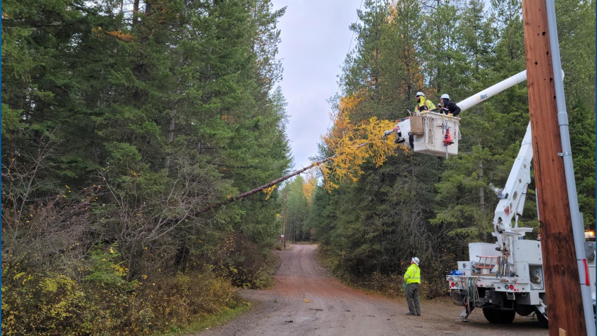 Kootenai Electric Cooperative joins advanced natural gas project to ...