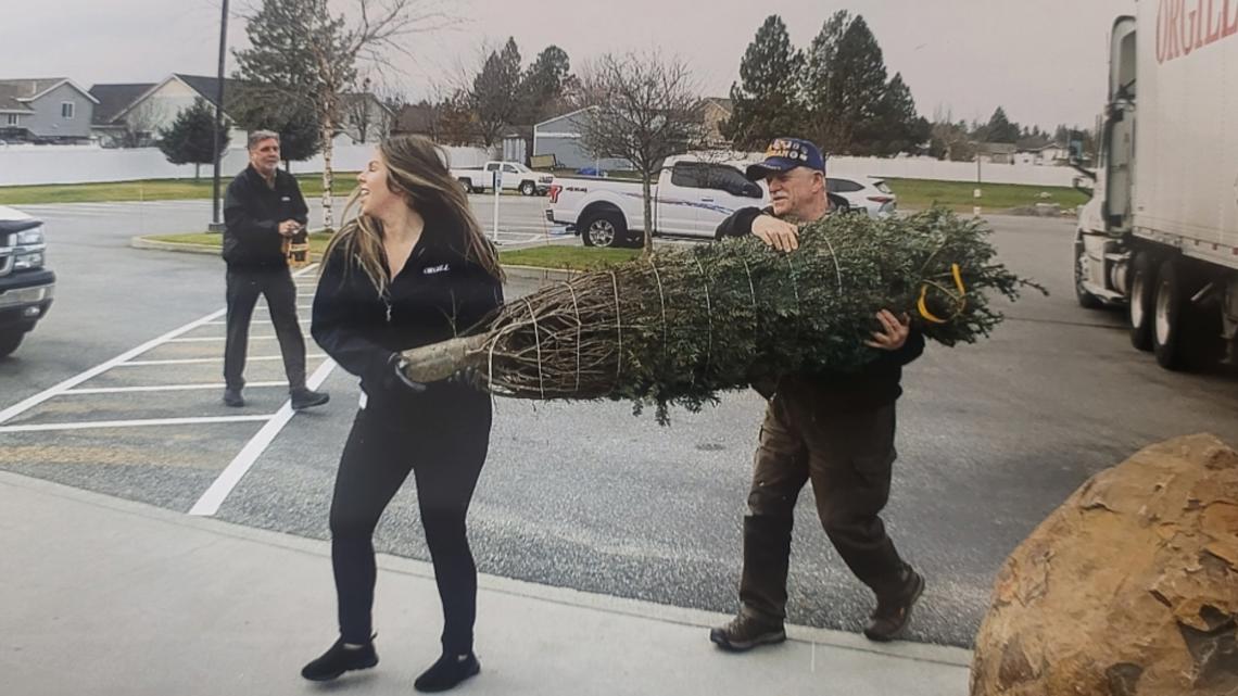 Post Falls American Legion offering free Christmas trees to veterans ...