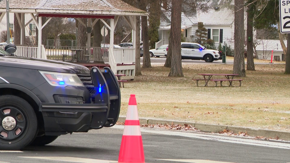 Reported explosive near Sutton Park was confetti tube, according to ...