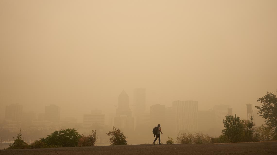 Wildfire smoke exposure may impact sperm quality, UW study finds | krem.com