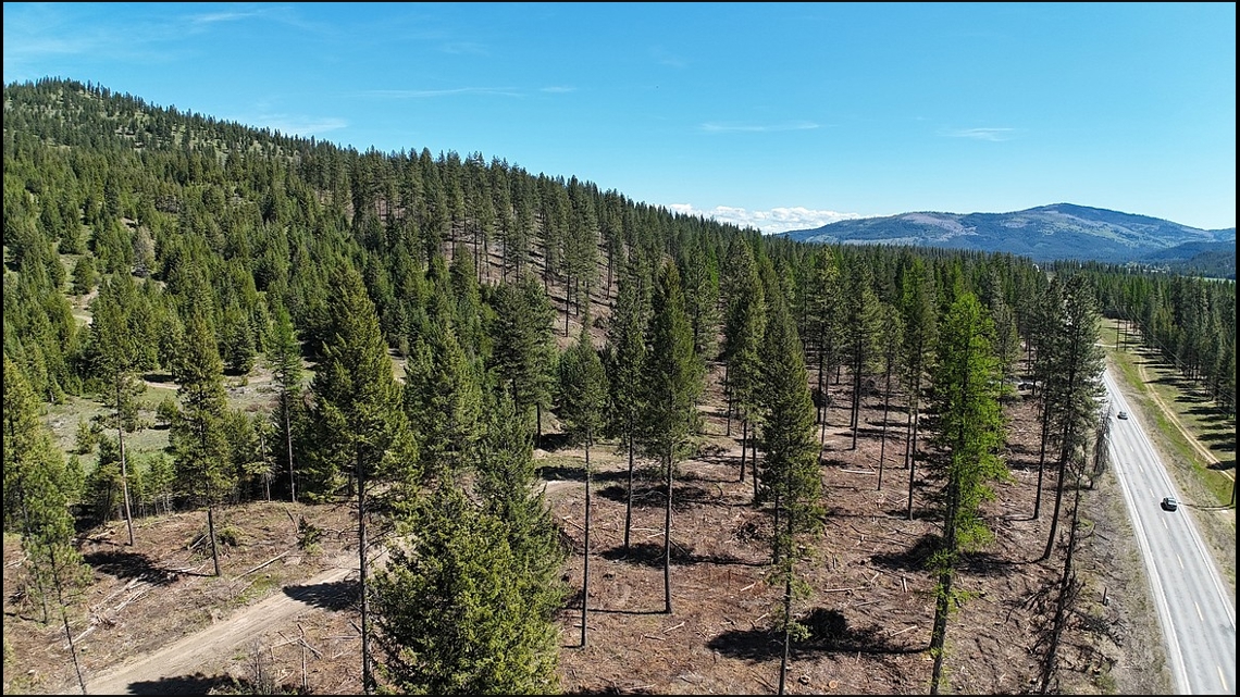 Department of Agriculture investing $1M into North Idaho forests | krem.com