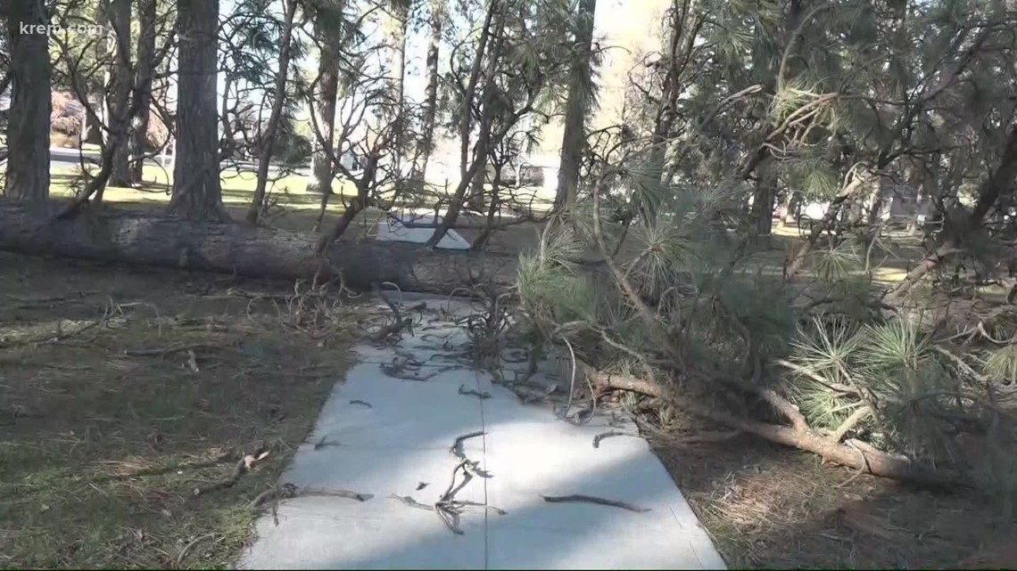 Here's where $2.7 million for Spokane windstorm cleanup is going | krem.com