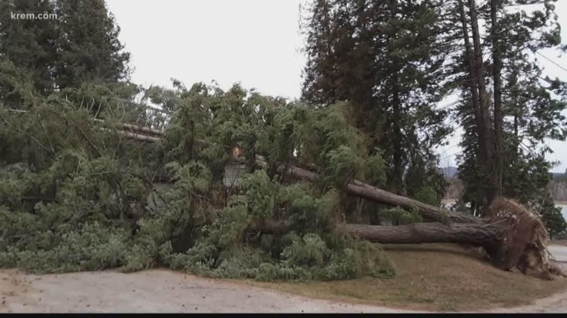Windstorm in Spokane, North Idaho explained | krem.com