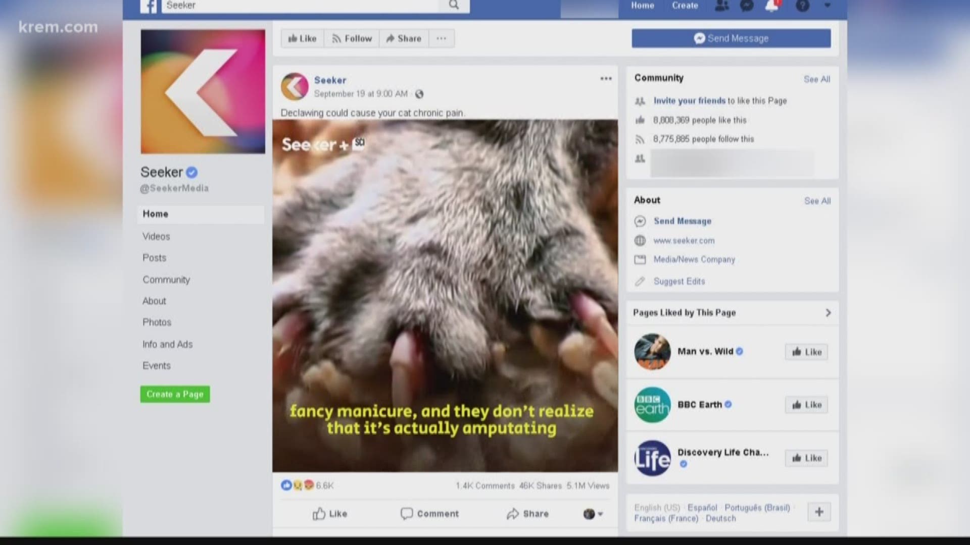 VERIFY: Can declawing your cat lead to chronic pain for your pet ...