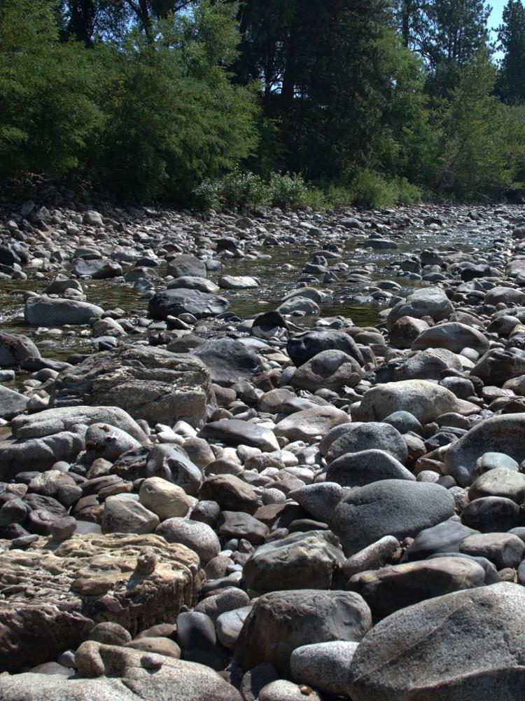 Spokane Riverkeeper photos show dried-up section of river in Spokane ...
