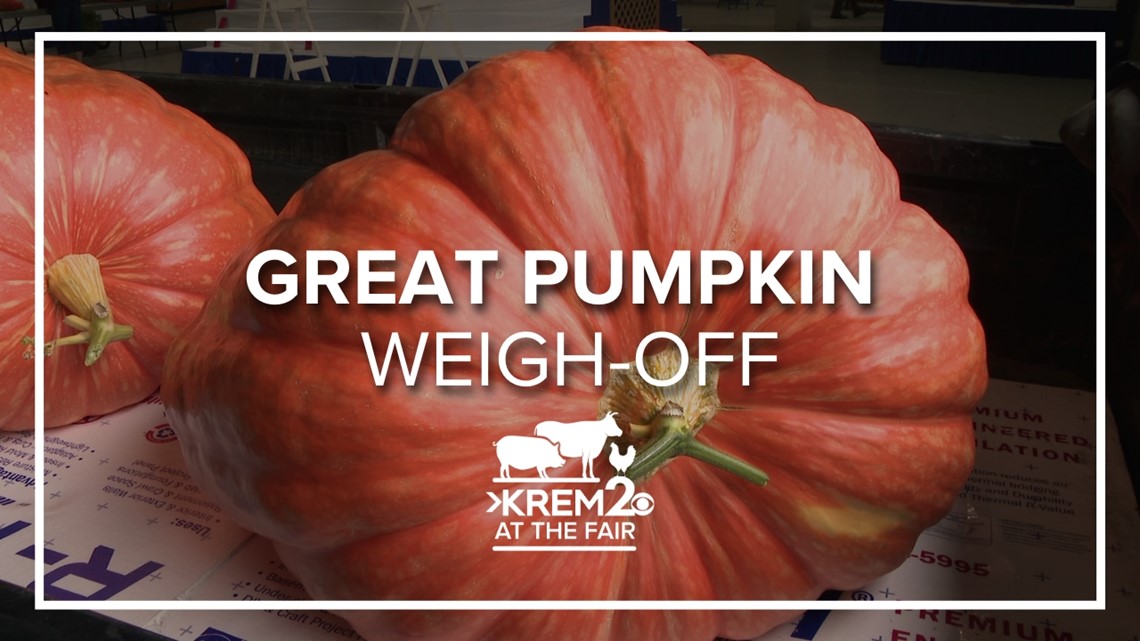 Guess the weight of a giant pumpkin, win $100 at the Spokane County ...