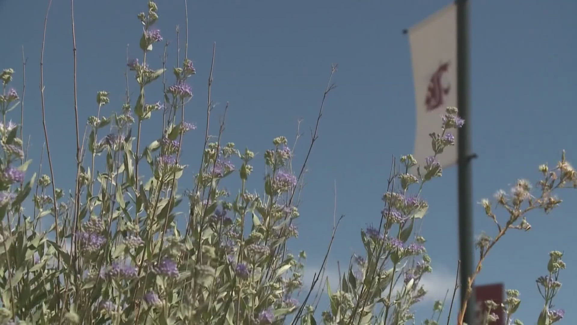 Pullman PBS station KWSU-TV shutting down due to lack of federal ...