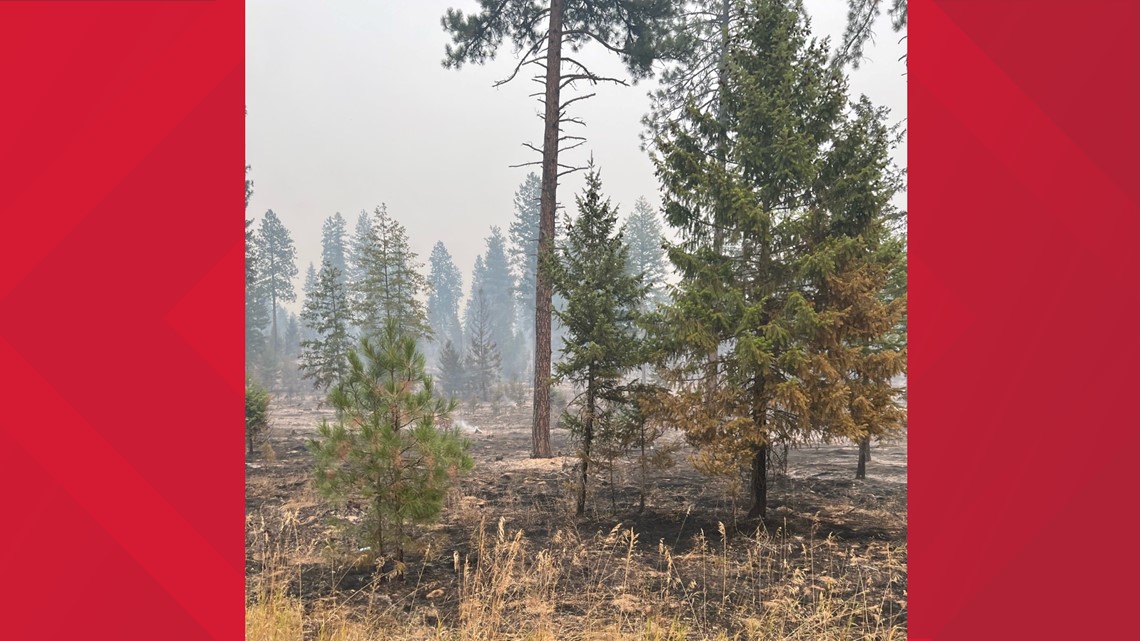 Oregon Road Fire | Officials say fire was human caused, containment ...