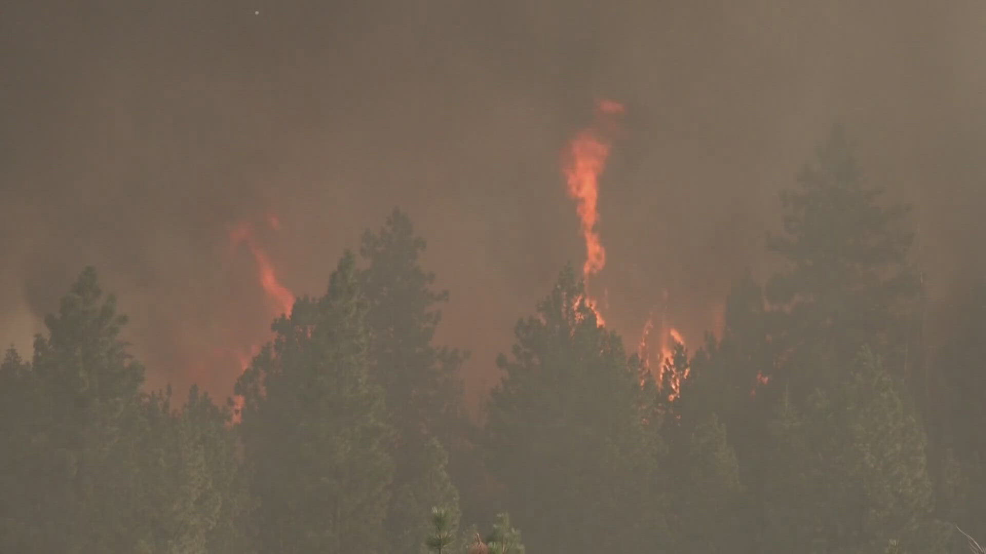 Avista plans power shutoff near Nine Mile Falls for fire risk | krem.com