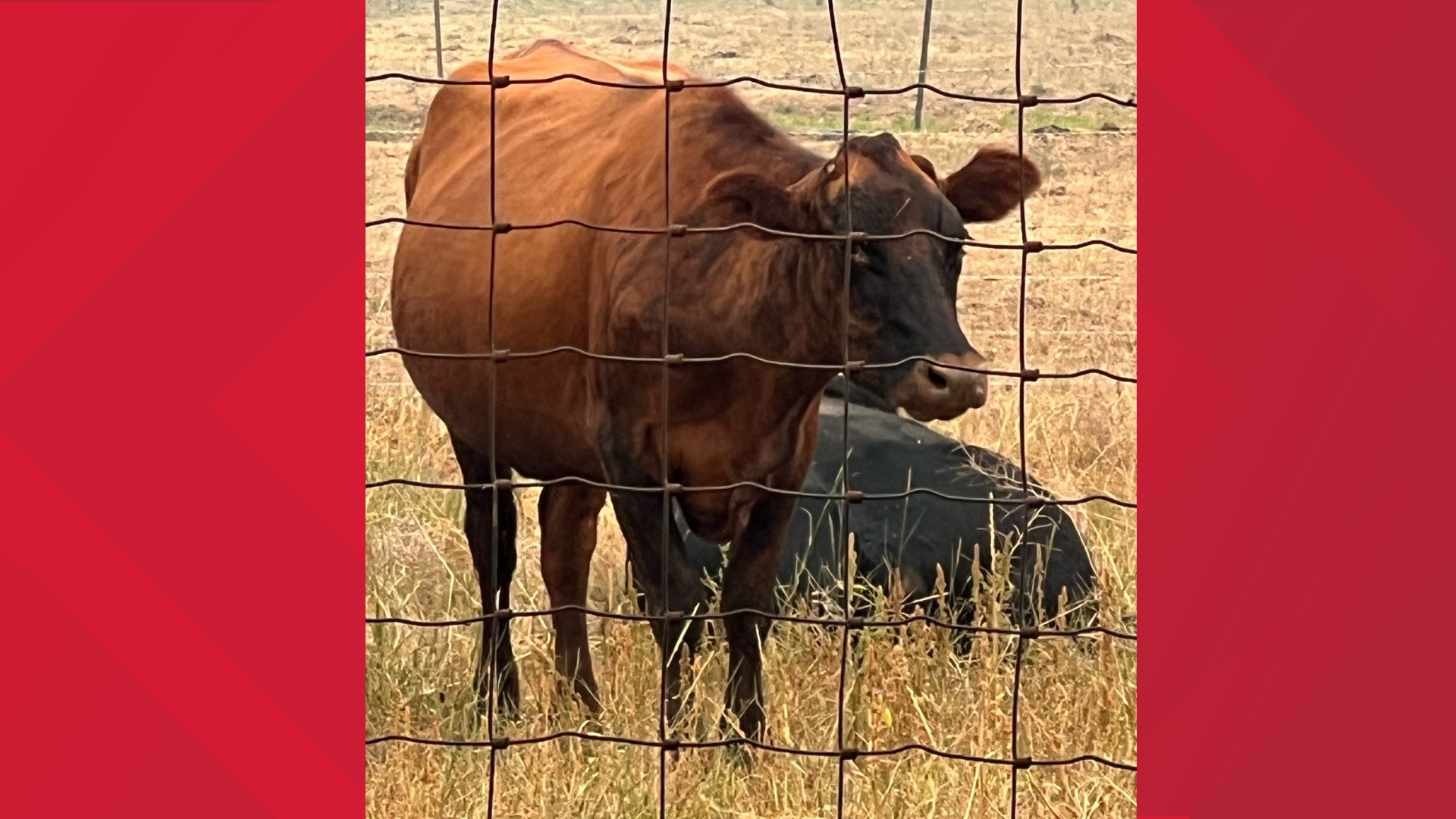 Oregon Road Fire | Officials say fire was human caused, containment ...