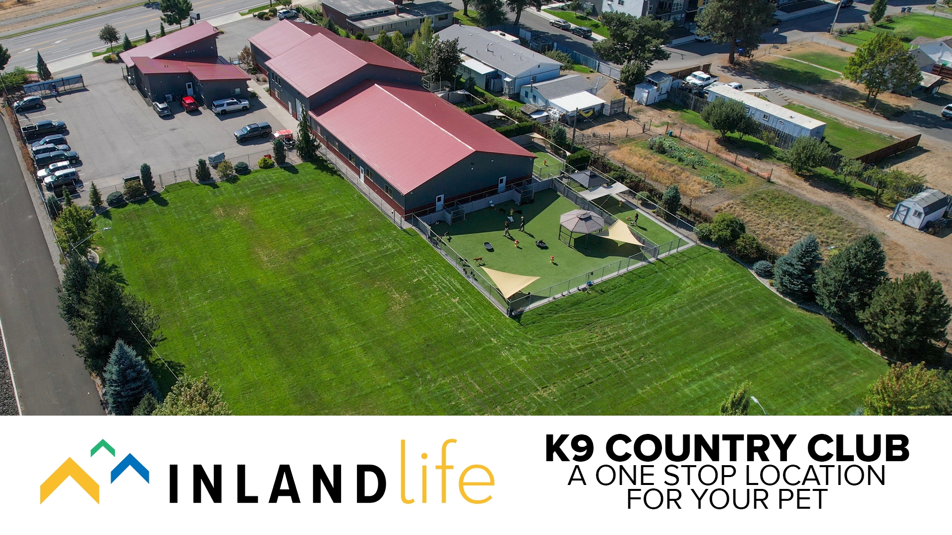 Inland Life: K9 Country Club Pet Center | krem.com
