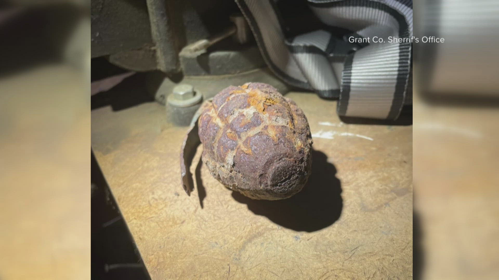 Three-year-old boy finds live hand grenade outside his home in Grant ...