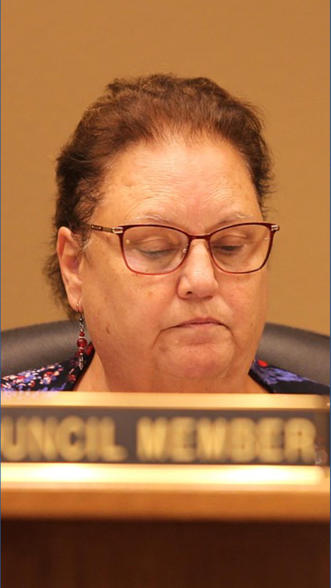 Hayden City Council approves $42.8M budget for 2026 with no property ...