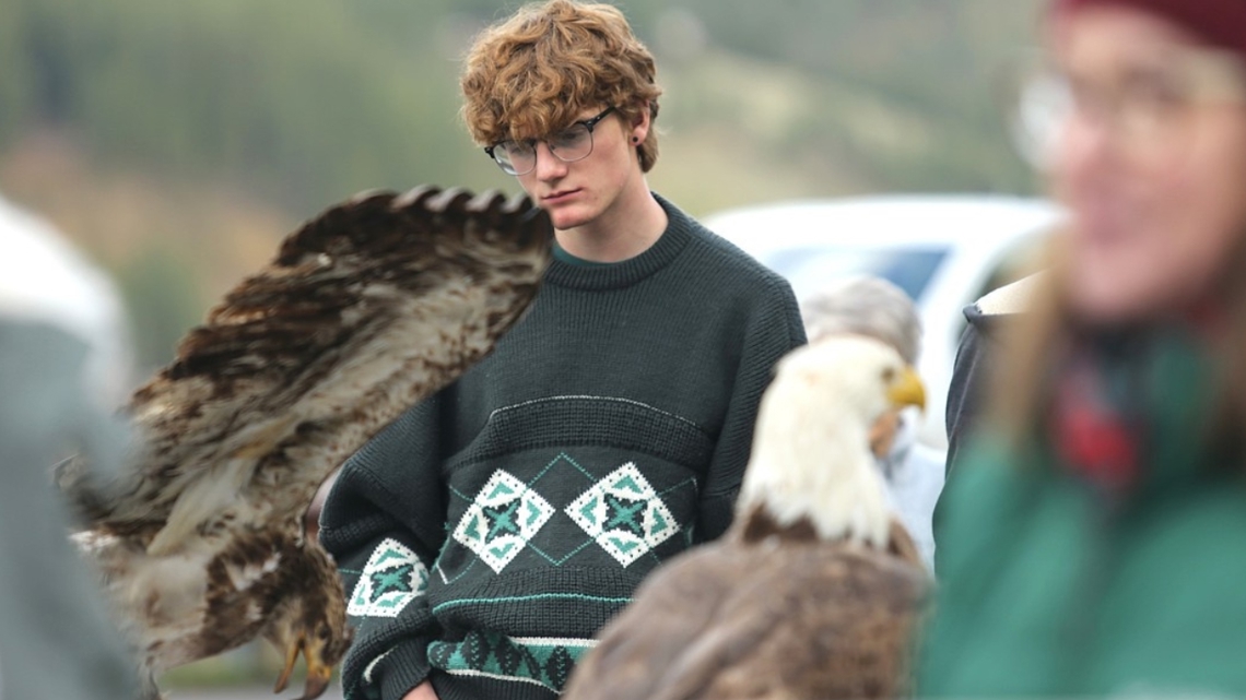 BLM: Migrating eagle population peaked early this year | krem.com