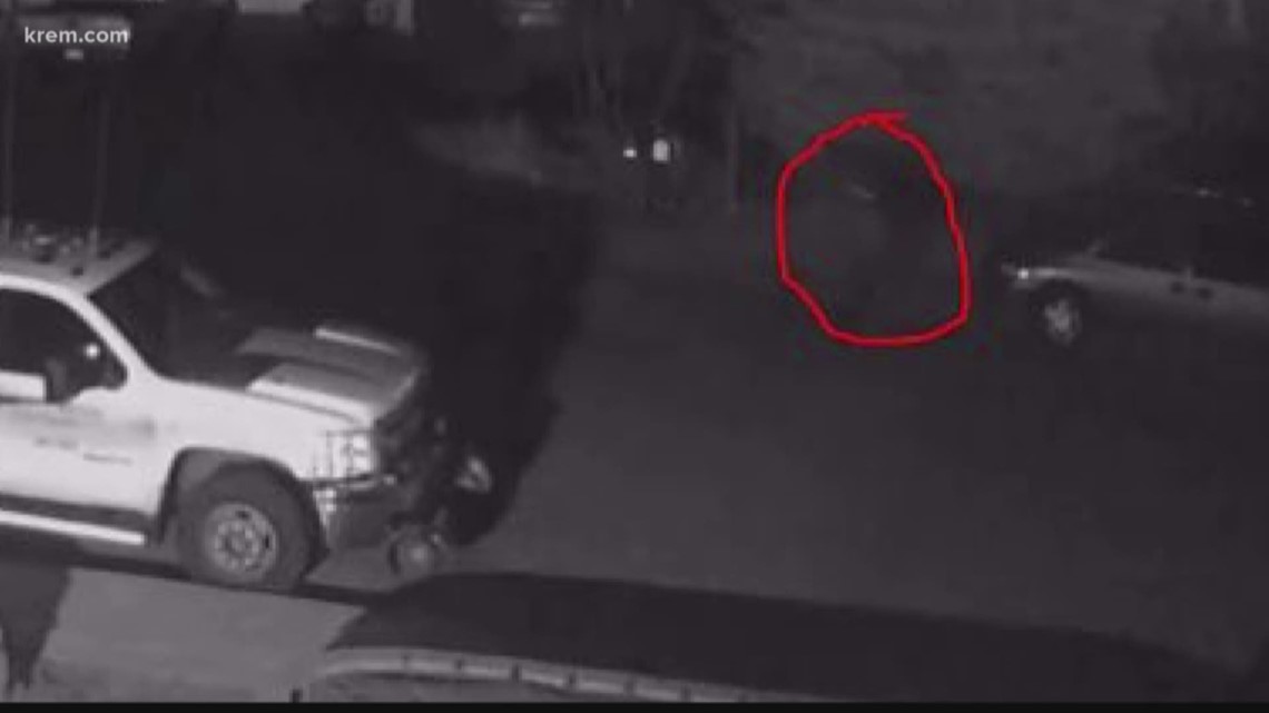 Medical Lake car prowling suspect caught in the act, unclear if linked ...