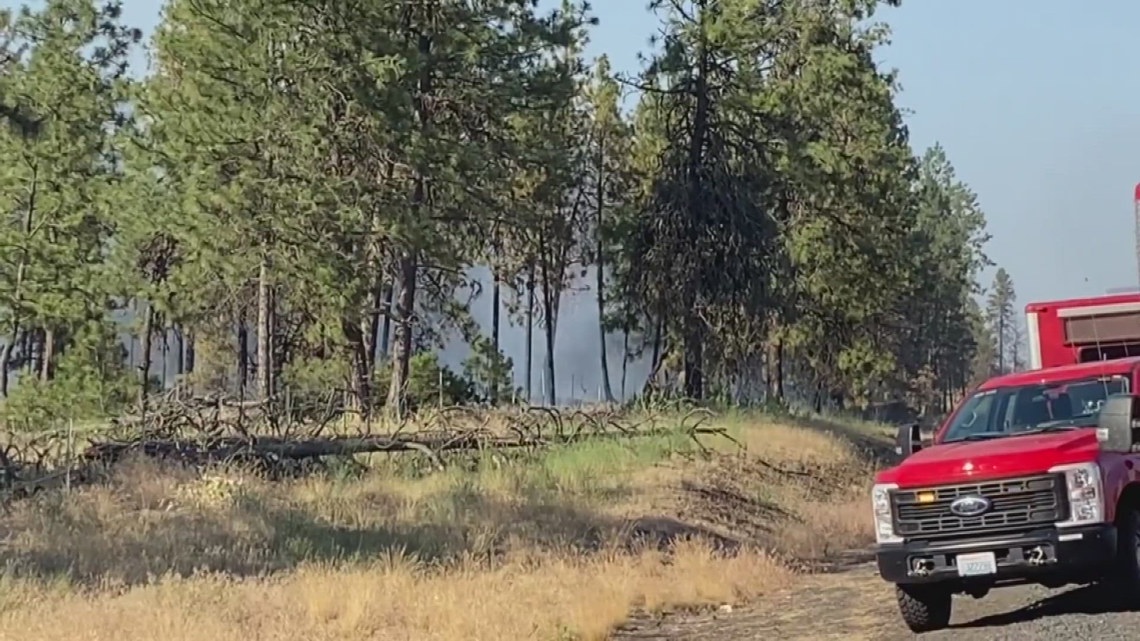 Fire crews responding to brush fire on I-90 near Cheney | krem.com