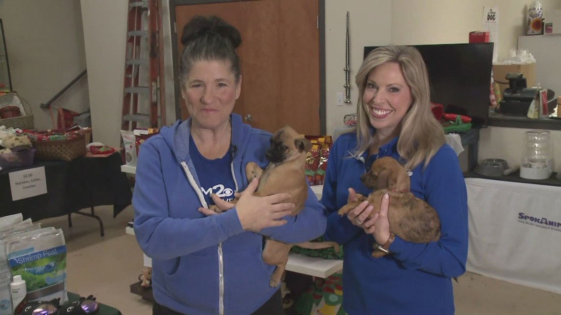 KREM 2's Laura Papetti and Whitney Ward invite you to join the KREM ...