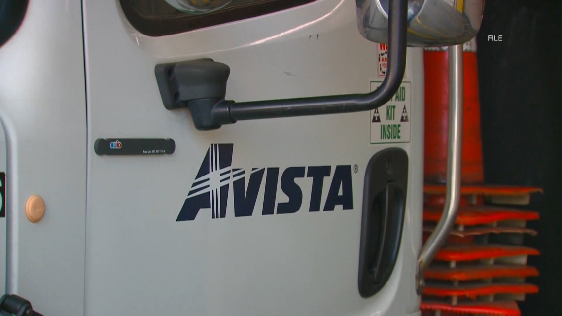 Avista pauses processing of data center development amid community ...