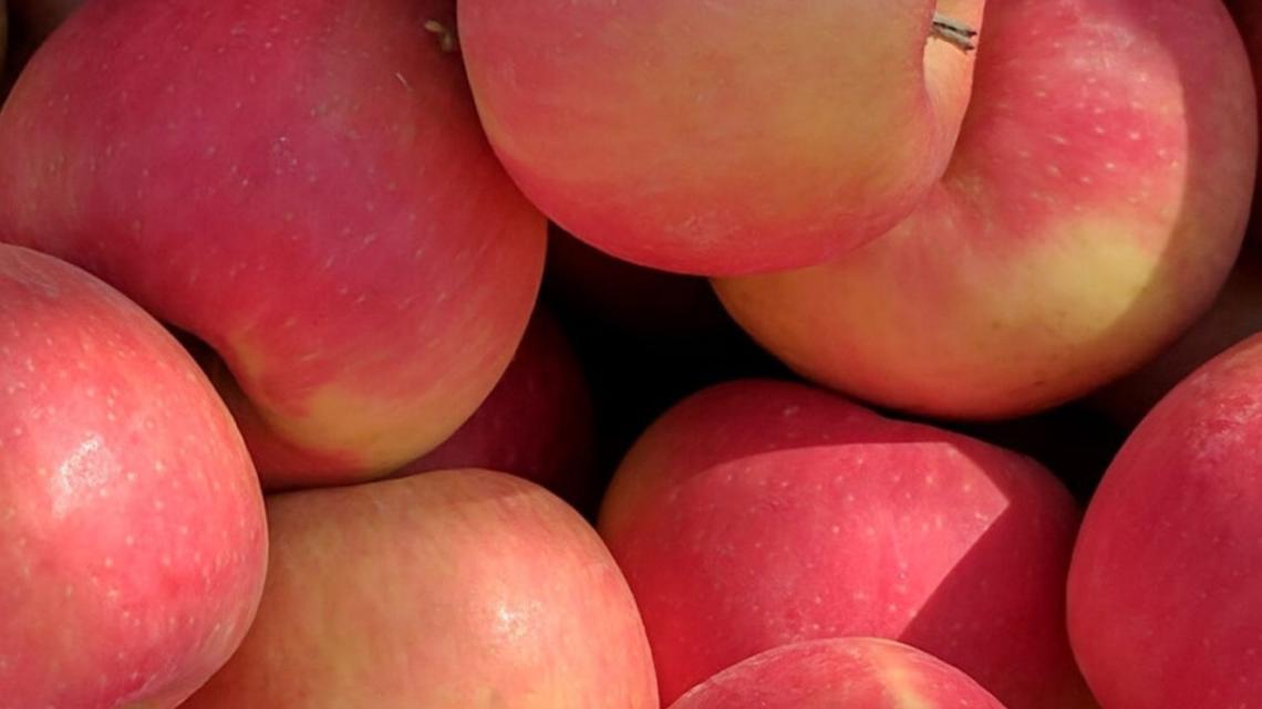 Washington's newest apple needs a name | krem.com