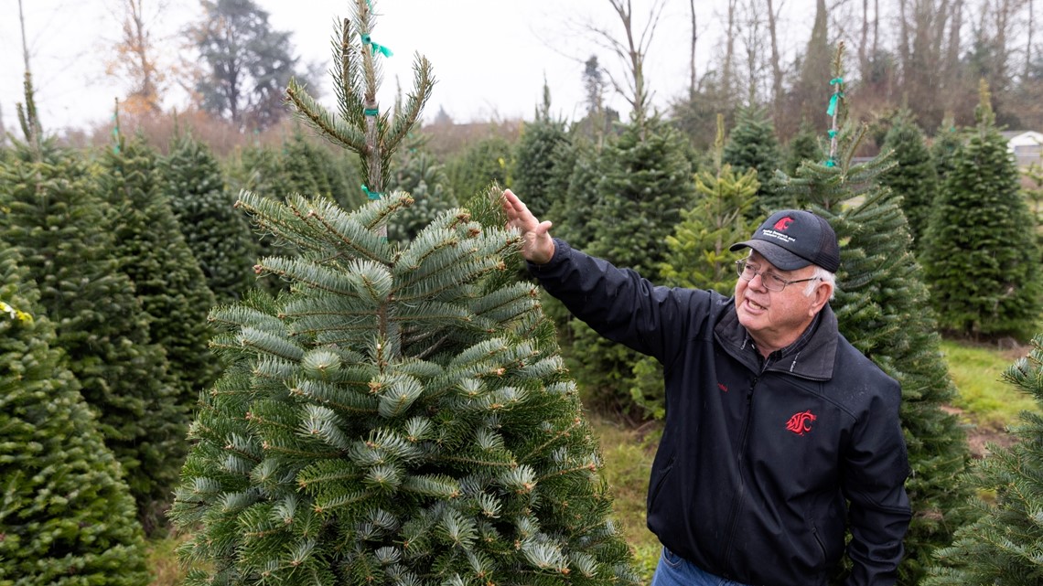 As climate warms, that perfect Christmas tree may depend on growers ...