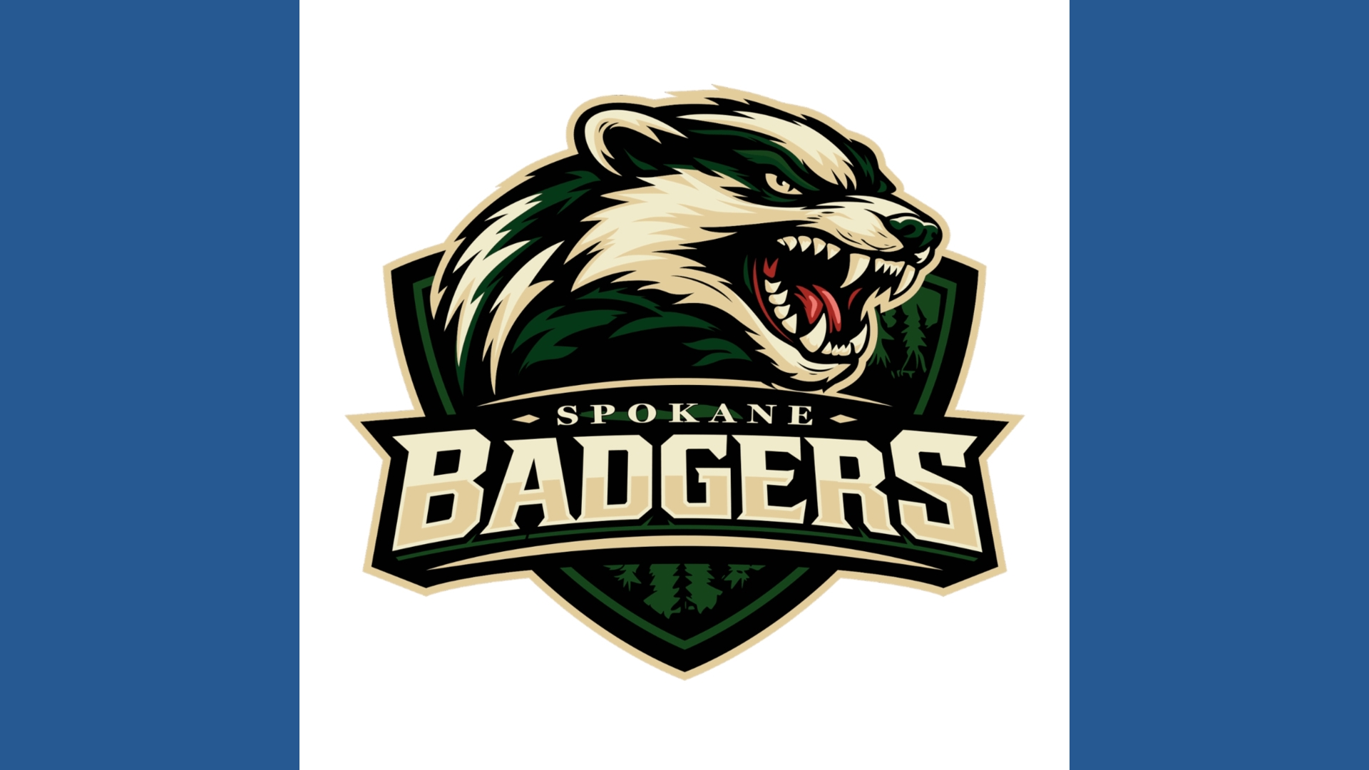 Spokane now has a semi-pro pickleball club: the Spokane Badgers | krem.com