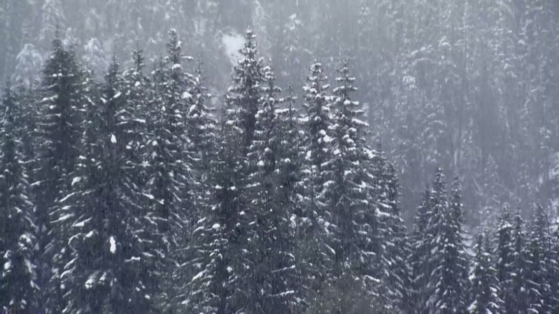 Long-range forecast | What a La Niña winter means for the Inland ...