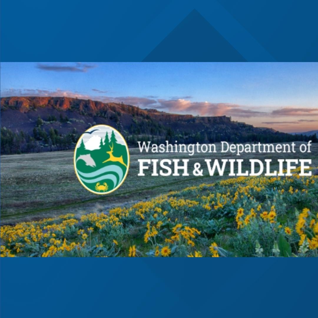 Washington to launch 'MyWDFW' app for digital hunting, fishing licenses ...