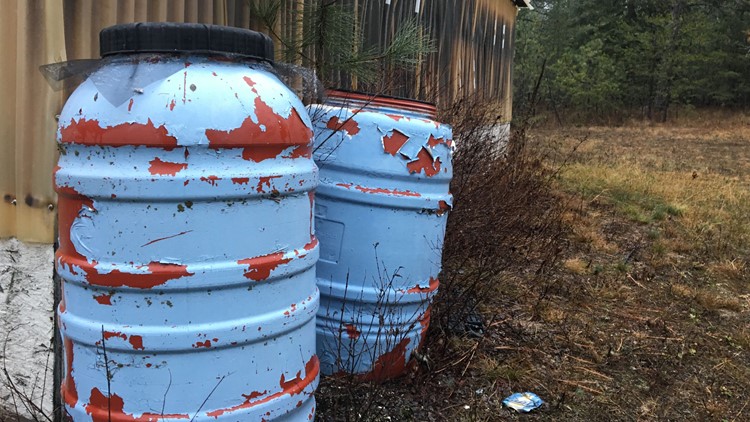 Idaho woman says moose was drinking from barrel when lid got stuck on ...