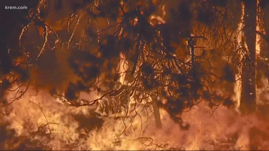 Nicole Hernandez | krem.com