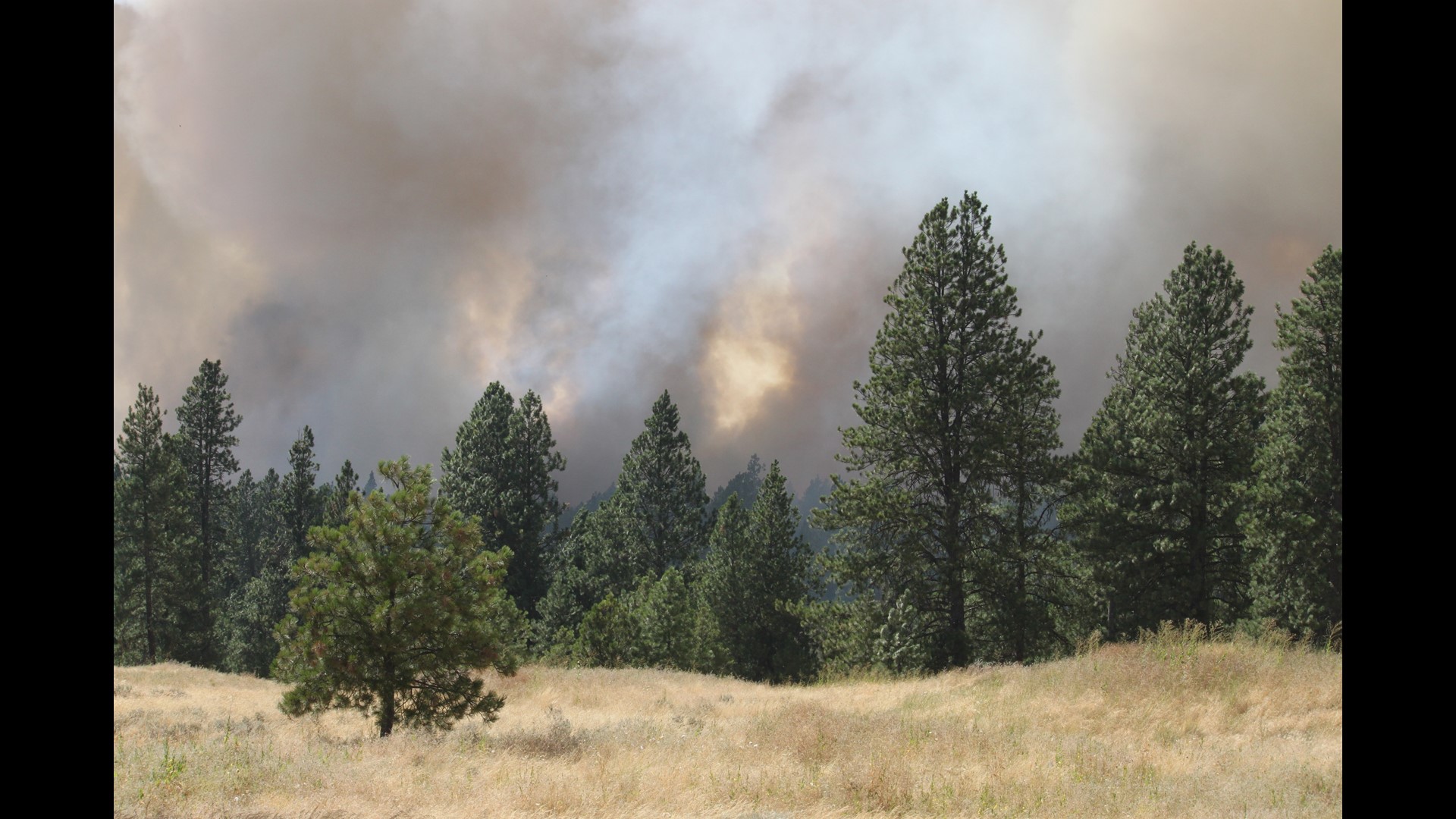 Williams Lake Fire | Photos of the Flames | krem.com
