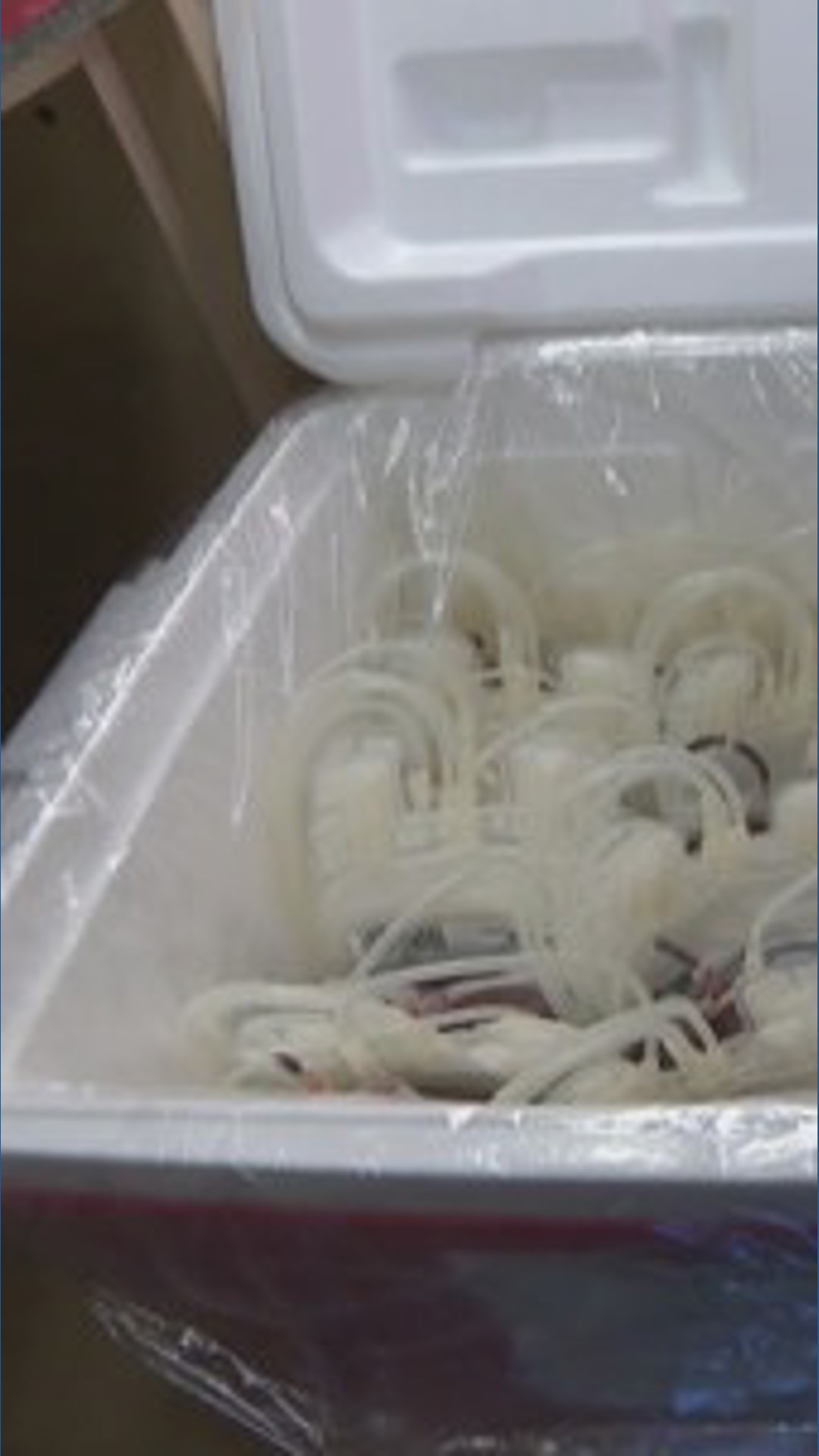 Blood centers seeking donors amid National Blood Donor Month and ...