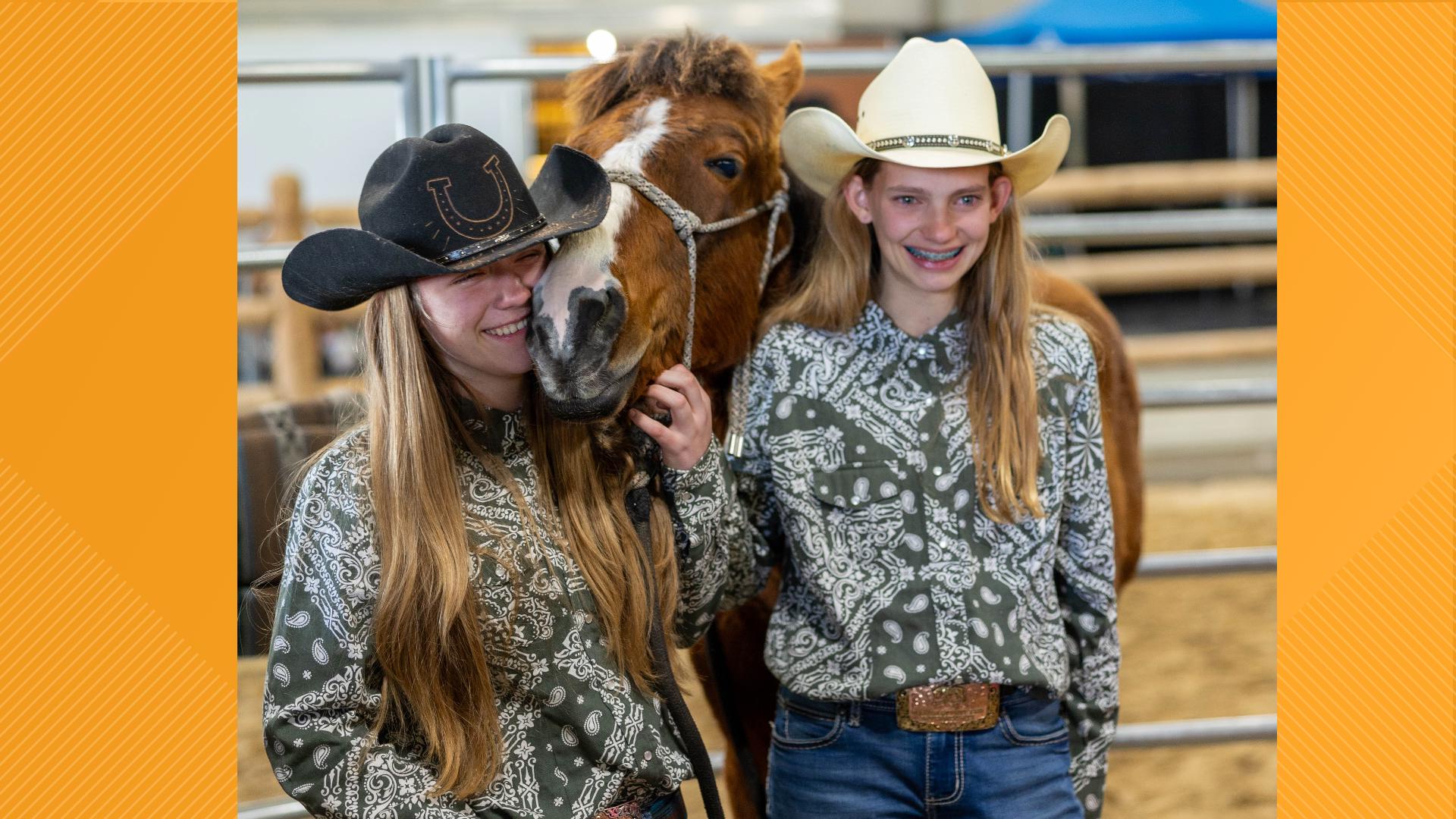 Wild horses will be offered for adoption at Idaho Horse Expo | krem.com