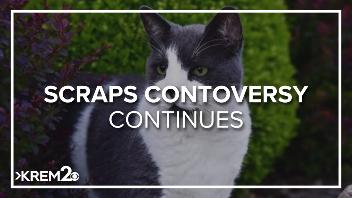 Owner of euthanized cat still looking for apology and answers from ...