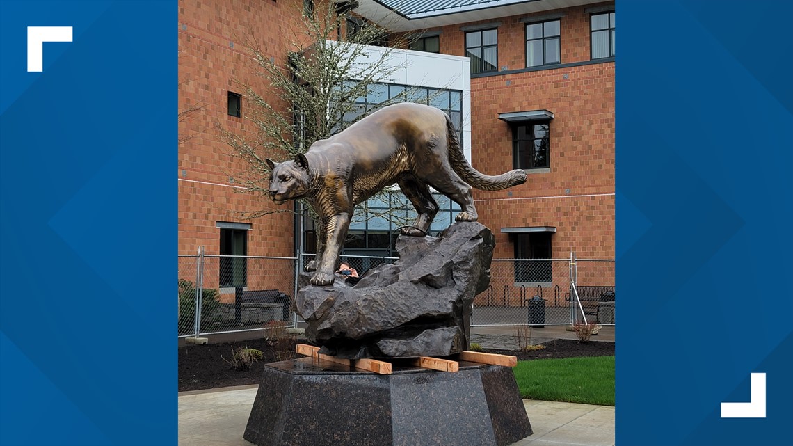 New cougar statue being installed at Washington State University ...