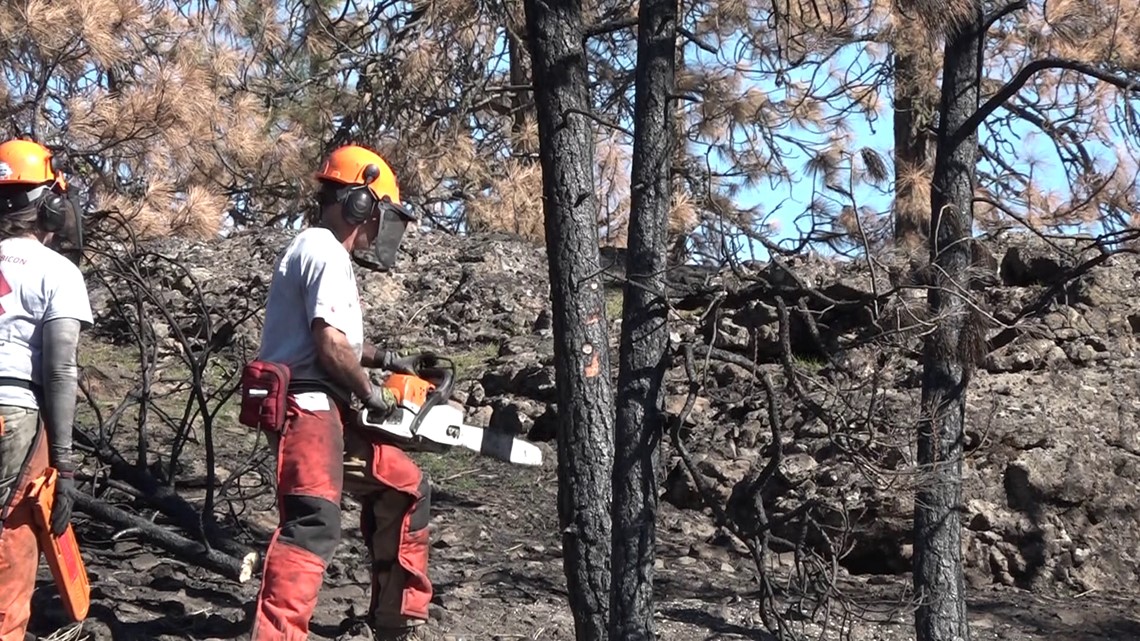 'The best non-profit volunteer organization' | Gray Fire recovery ...