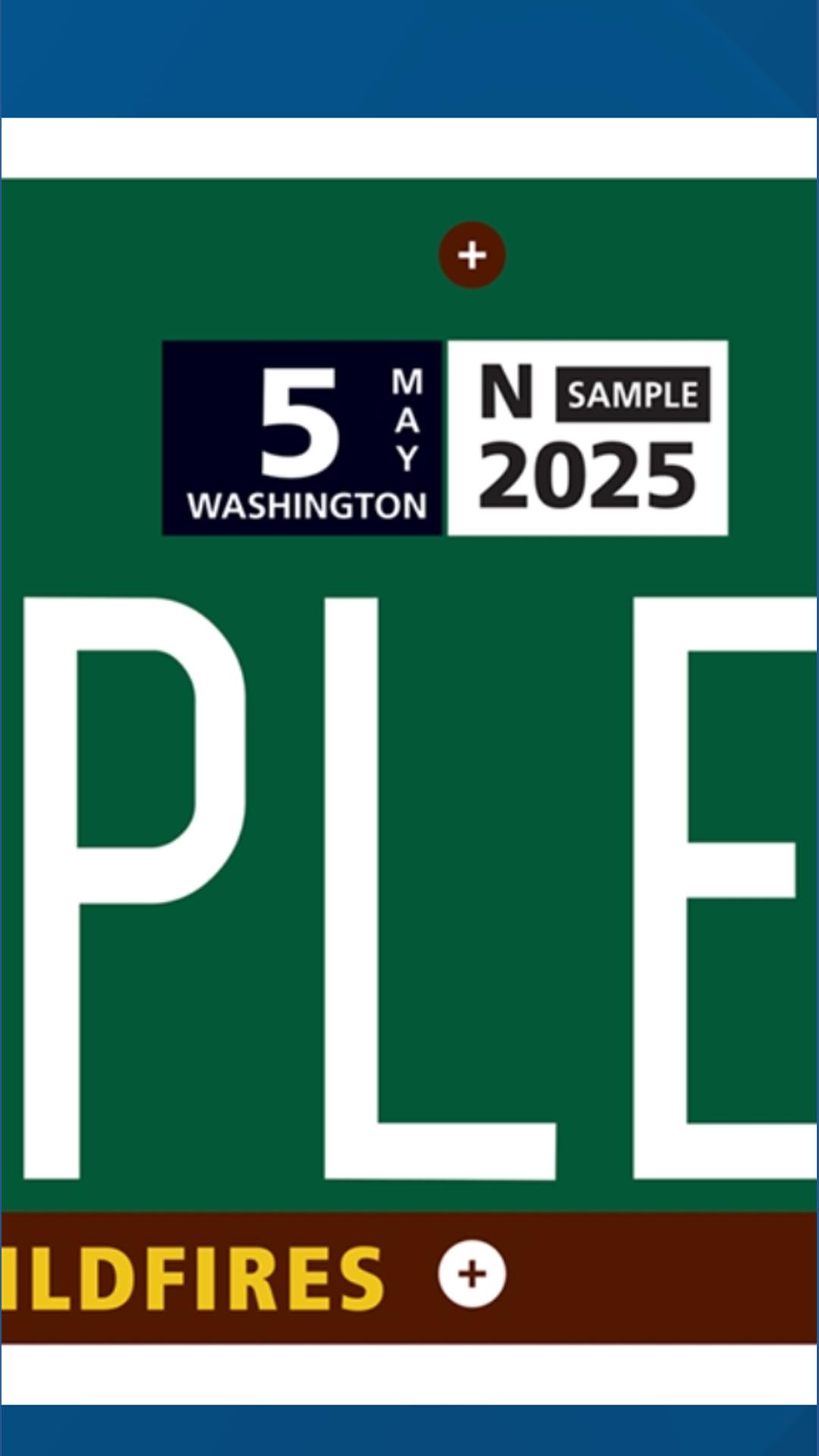 Washington unveils Smokey Bear license plate supporting wildfire ...