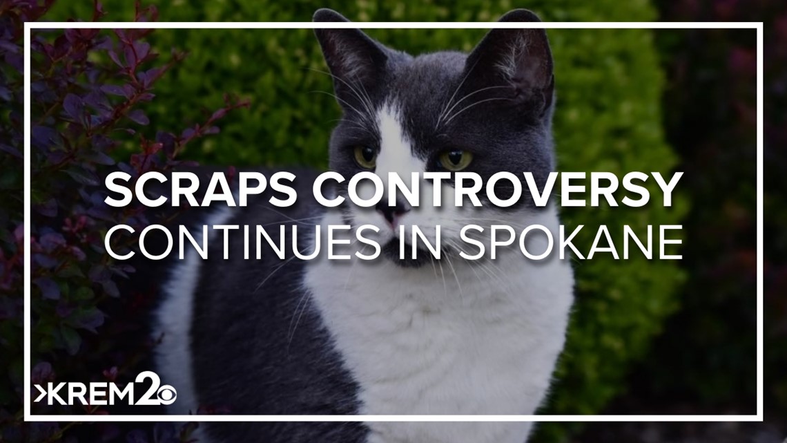 SCRAPS enters new controversy after euthanizing cat over the weekend ...