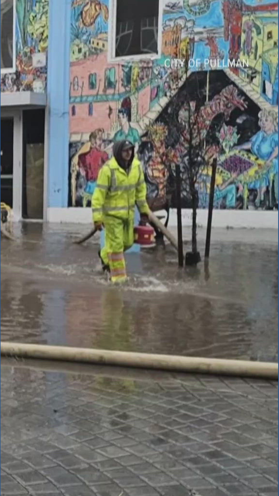 Pullman businesses begin cleanup after weekend flooding | krem.com