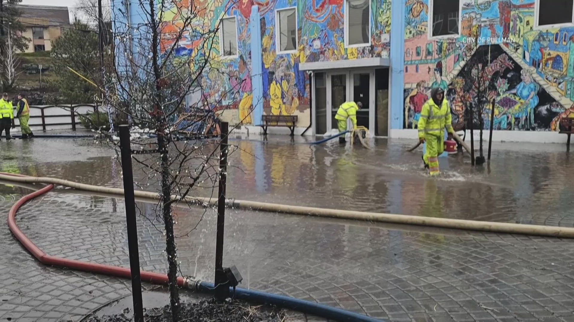 Pullman businesses begin cleanup after weekend flooding | krem.com