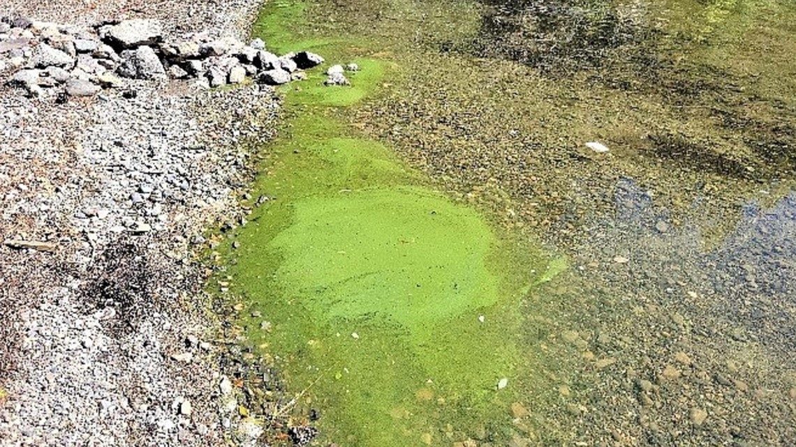 Health advisory: Blue-green algae bloom appears on Spirit Lake | krem.com