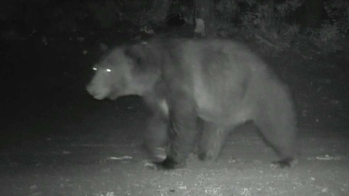 'He was a threat and a danger' | Stevens County couple recalls ...